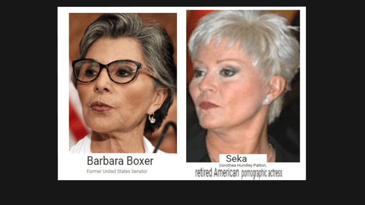 FORMER U.S. SENATOR BARBARA BOXER = SEKA, FORMER PORN STAR …… EXPOSED ...