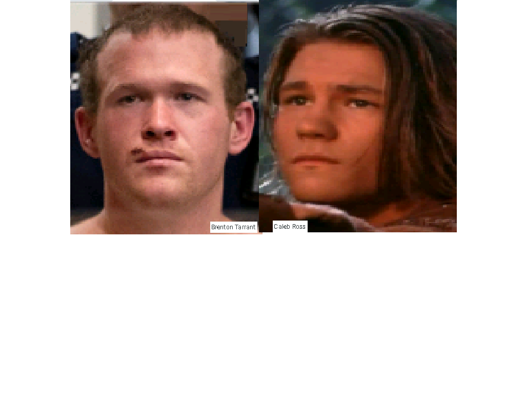 Christchurch, NZ mosque attack gunman, killed 51: BRENTON TARRANT ...