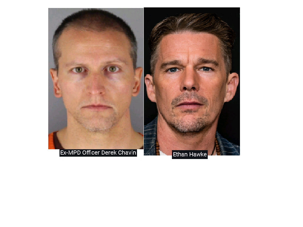 Killer Minneapolis police officer DEREK CHAVIN = ETHAN HAWKE, actor ...