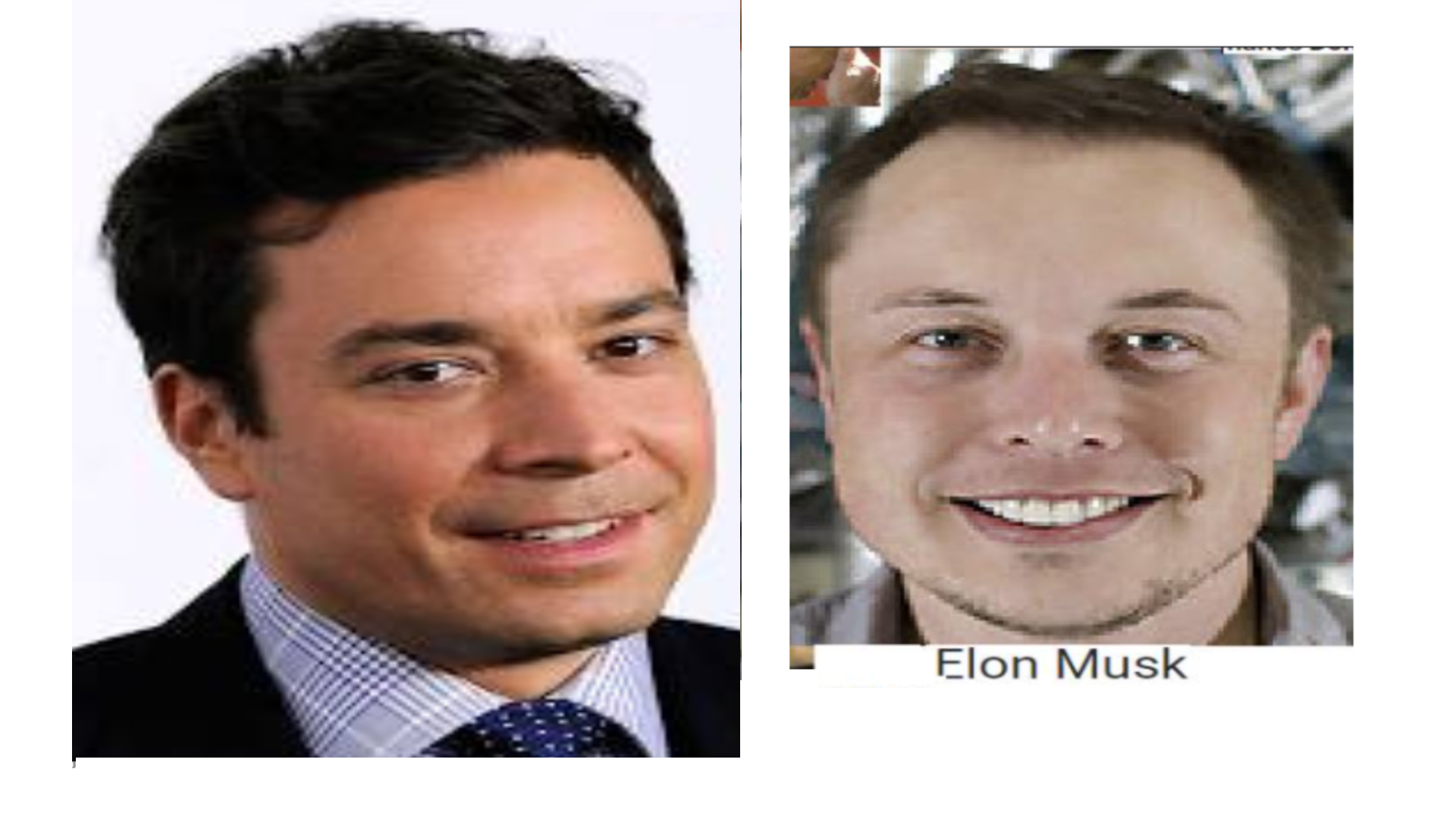 TV host and comedian, JIMMY FALLON = ELON MUSK, tech mogul ...
