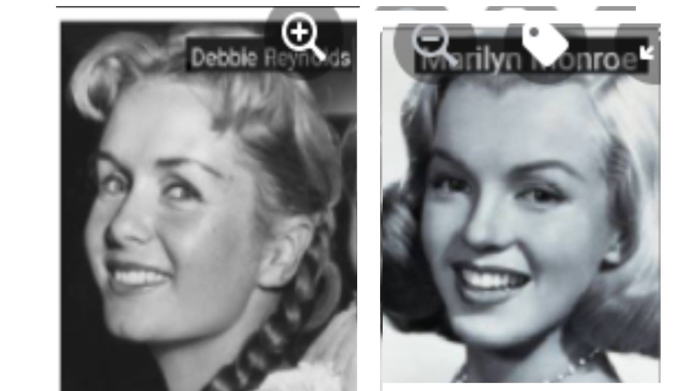 Marilyn Monroe Debbie Reynolds Exposed Here 1st 0085
